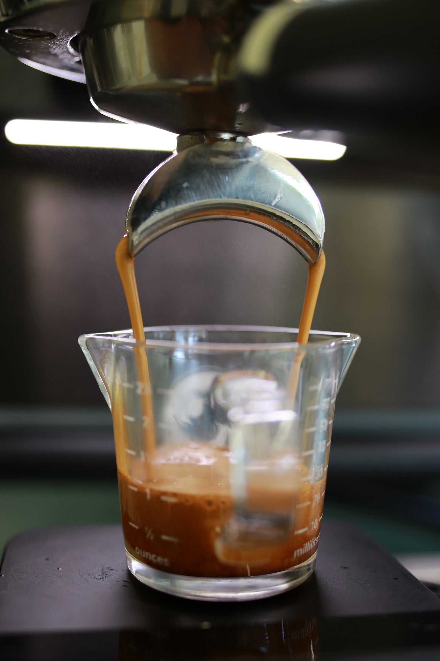 Demystifying the Fruity Aroma of Fermented Coffee – Java Original Coffee